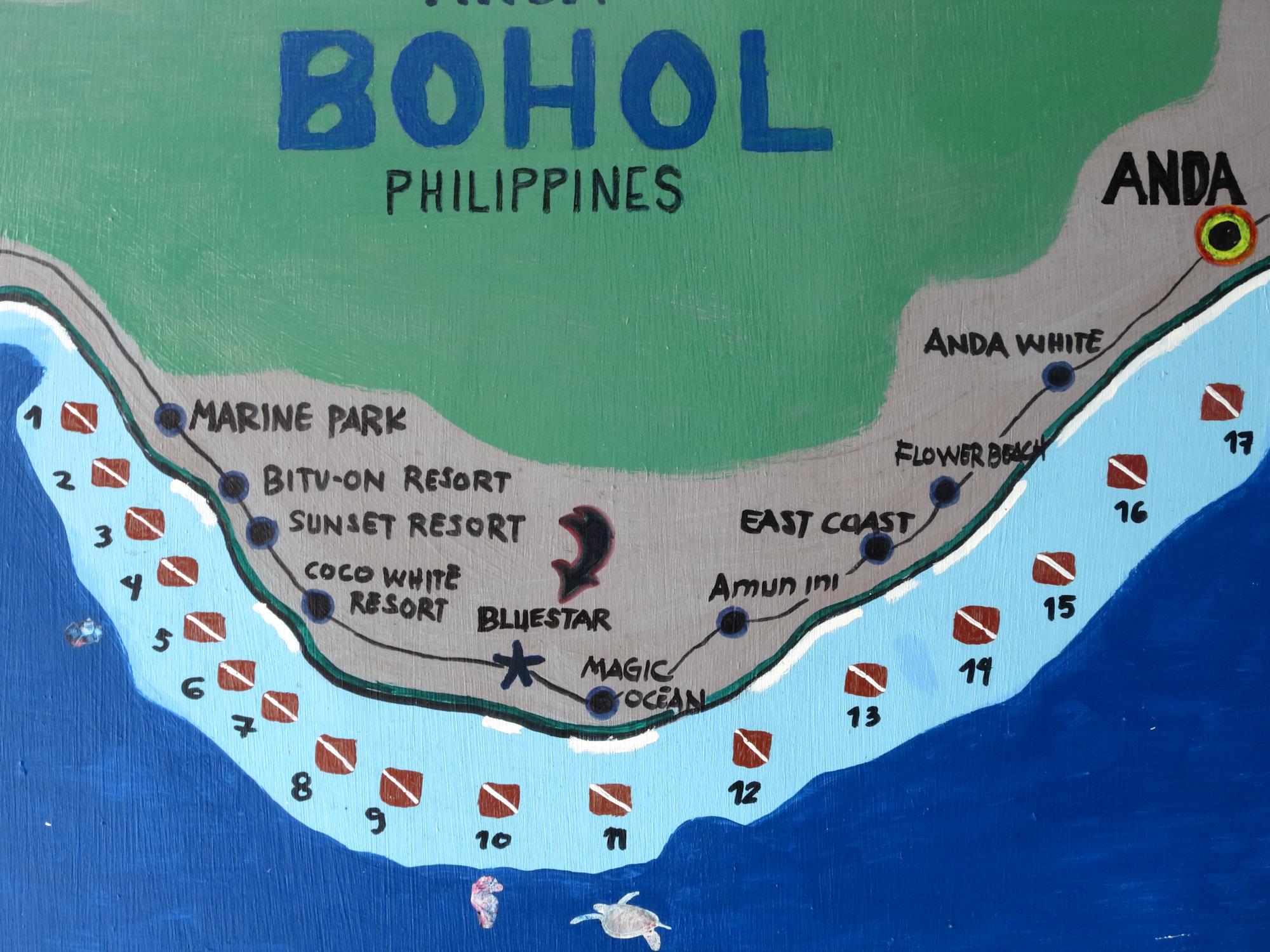 Bohol Philippines Oct 2017 - Blue Water Diving
